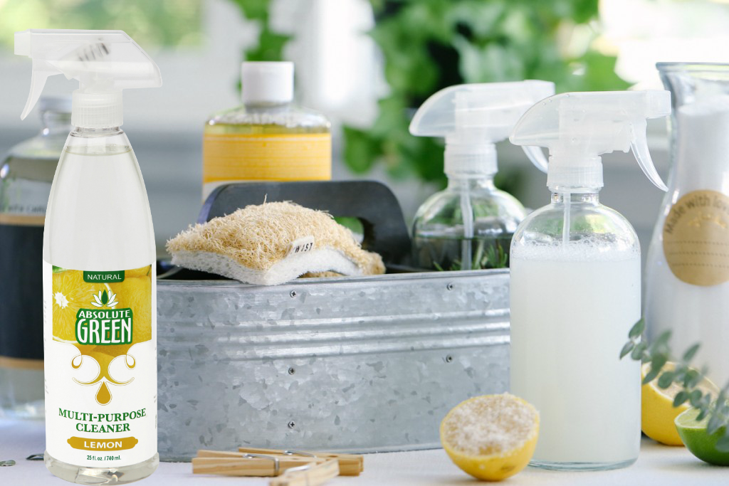 BENEFITS OF LIVING A GREEN LIFE – Absolute Green